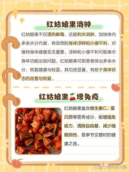 红姑娘水果的功效与作用_红姑娘水果怎么吃-第1张图片-山城妙识
