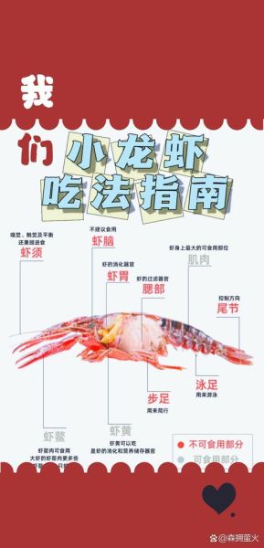 小龙虾怎么吃_小龙虾哪些部位不能吃-第1张图片-山城妙识 小龙虾怎么吃_小龙虾哪些部位不能吃-第1张图片-山城妙识