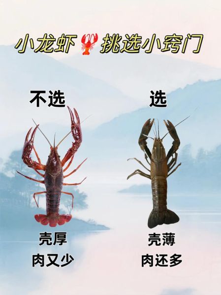 小龙虾怎么吃_小龙虾哪些部位不能吃-第3张图片-山城妙识 小龙虾怎么吃_小龙虾哪些部位不能吃-第3张图片-山城妙识