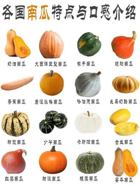 南瓜图片大全大图_如何挑选高清素材-第1张图片-山城妙识 南瓜图片大全大图_如何挑选高清素材-第1张图片-山城妙识