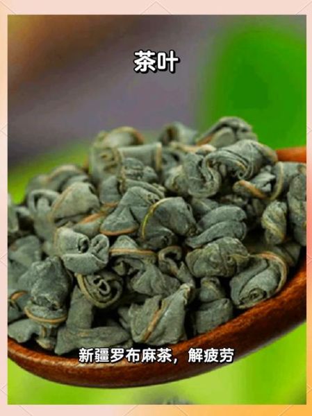 罗布麻茶什么人不能喝_罗布麻茶禁忌人群-第3张图片-山城妙识