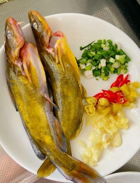 黄辣丁鱼怎么做给宝宝吃_黄辣丁鱼辅食做法-第1张图片-山城妙识 黄辣丁鱼怎么做给宝宝吃_黄辣丁鱼辅食做法-第1张图片-山城妙识