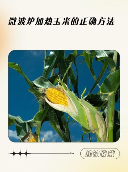 微波炉烤玉米要多长时间_微波炉烤玉米怎么烤-第2张图片-山城妙识