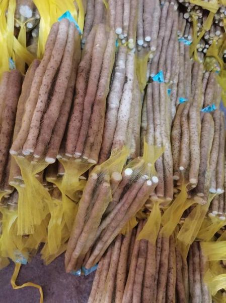 麻山药种植技术_麻山药亩产量多少斤-第3张图片-山城妙识