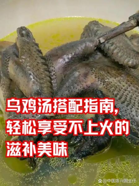乌鸡怎么炖好吃_乌鸡炖汤的正确方法-第3张图片-山城妙识