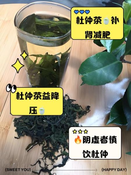 杜仲茶什么人不能喝_杜仲茶禁忌人群有哪些-第3张图片-山城妙识