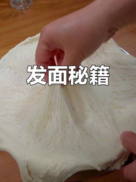 快速发面做包子怎么做_包子发面失败的原因-第2张图片-山城妙识 快速发面做包子怎么做_包子发面失败的原因-第2张图片-山城妙识