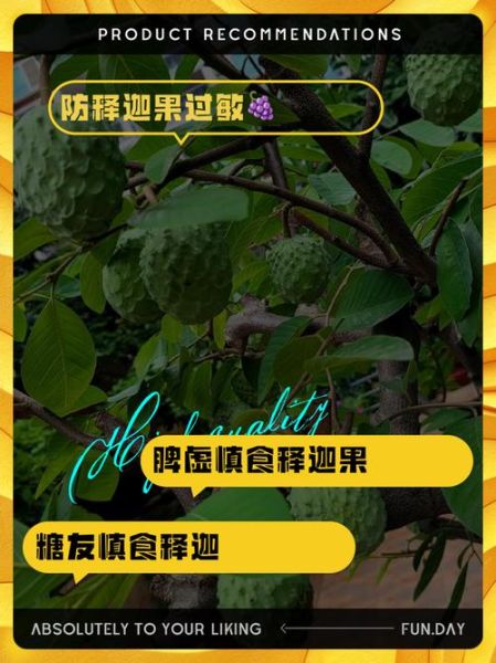 释迦果什么人不能吃_释迦果禁忌人群有哪些-第1张图片-山城妙识