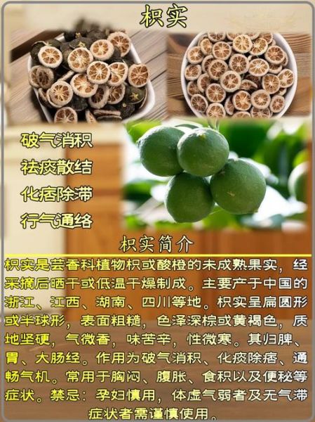 枳实的功效与作用_枳实主治哪些病-第1张图片-山城妙识