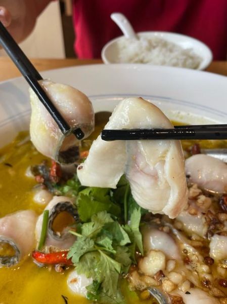 酸菜鱼一般用啥鱼_哪种鱼做酸菜鱼最好吃-第2张图片-山城妙识