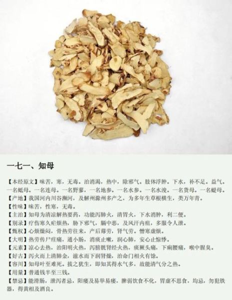 知母的功效与作用_知母的副作用有哪些-第1张图片-山城妙识