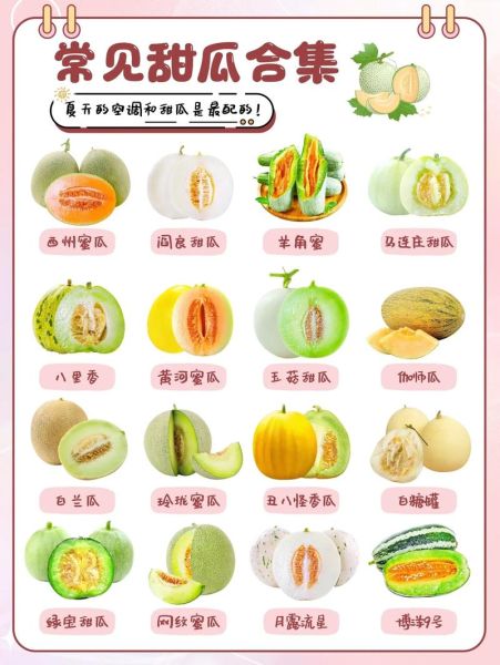 夏天吃什么水果好_夏季水果有哪些-第3张图片-山城妙识
