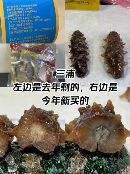 海参价格是多少钱一斤_海参价格为什么差异大-第2张图片-山城妙识