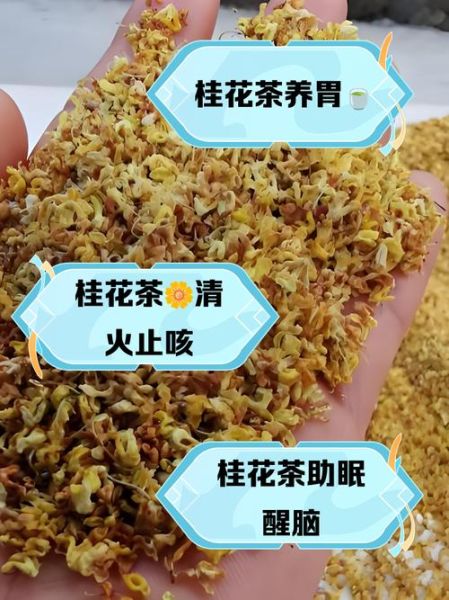 桂花茶怎么泡才正确_桂花茶泡多久最好喝-第1张图片-山城妙识