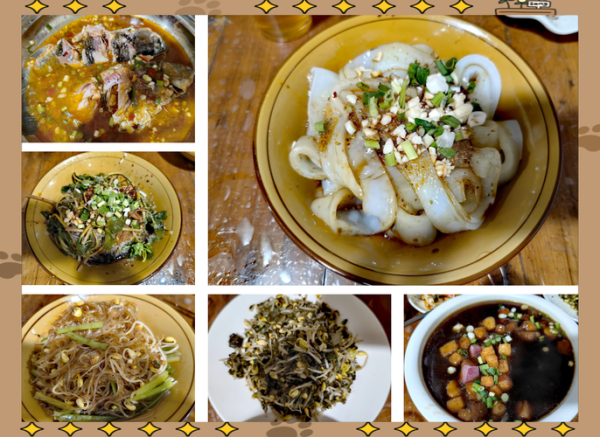 阆中古城有哪些地道小吃_阆中美食街在哪-第1张图片-山城妙识