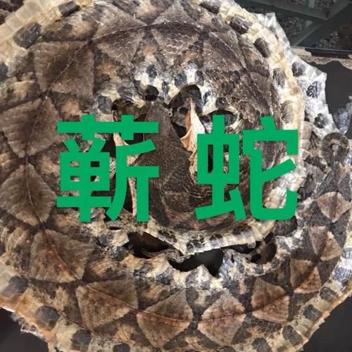 五步蛇多少钱一斤_五步蛇价格行情-第2张图片-山城妙识