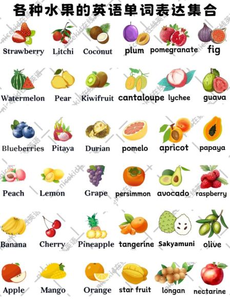 常见水果英语单词有哪些_如何快速记忆-第2张图片-山城妙识