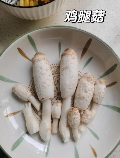 野生鸡腿菇图片怎么识别_鸡腿菇与毒菇区别-第1张图片-山城妙识