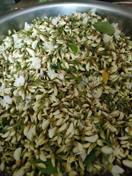 干洋槐花怎么做好吃_干洋槐花做法大全-第2张图片-山城妙识 干洋槐花怎么做好吃_干洋槐花做法大全-第2张图片-山城妙识