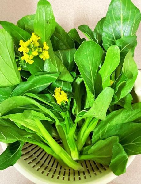 白灼菜心里的青菜叫什么_它和油菜有什么区别-第1张图片-山城妙识 白灼菜心里的青菜叫什么_它和油菜有什么区别-第1张图片-山城妙识