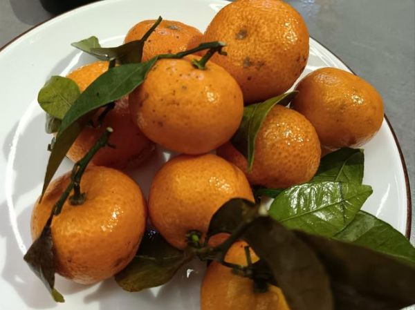 豆瓣酱豆腐怎么做_家常豆瓣酱豆腐的做法-第1张图片-山城妙识