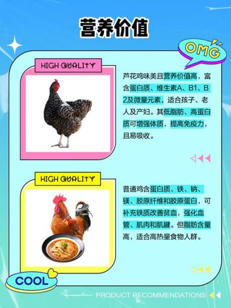 芦花鸡是什么鸡_芦花鸡和普通鸡的区别-第1张图片-山城妙识 芦花鸡是什么鸡_芦花鸡和普通鸡的区别-第1张图片-山城妙识