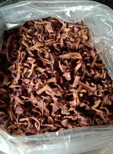 肉蘑是什么_肉蘑怎么做好吃-第1张图片-山城妙识 肉蘑是什么_肉蘑怎么做好吃-第1张图片-山城妙识