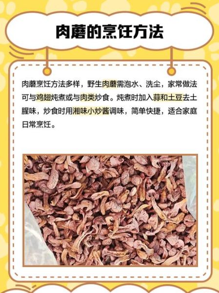 肉蘑是什么_肉蘑怎么做好吃-第3张图片-山城妙识 肉蘑是什么_肉蘑怎么做好吃-第3张图片-山城妙识