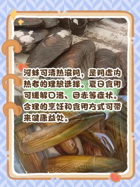 蚌怎么读拼音_蚌的读音是什么-第2张图片-山城妙识 蚌怎么读拼音_蚌的读音是什么-第2张图片-山城妙识