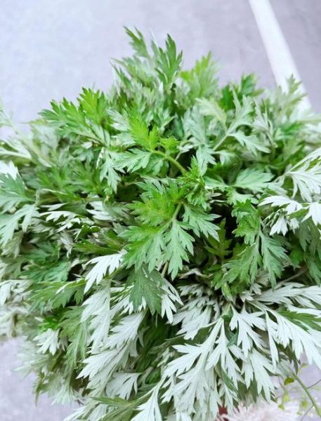 艾青团子怎么做_青团子艾草处理技巧-第2张图片-山城妙识