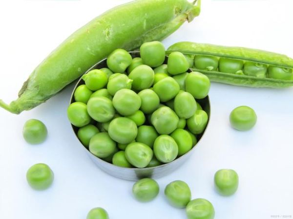 青豆不能和什么一起吃_青豆相克食物有哪些-第3张图片-山城妙识 青豆不能和什么一起吃_青豆相克食物有哪些-第3张图片-山城妙识
