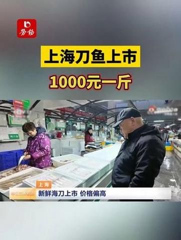 刀鱼价格2019多少钱一斤_刀鱼价格2019走势-第2张图片-山城妙识