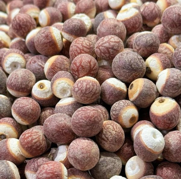 芡实哪里最正宗_芡实产地哪个最好-第1张图片-山城妙识