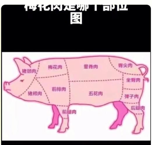 猪颈肉是梅花肉吗_两者区别与选购指南-第2张图片-山城妙识 猪颈肉是梅花肉吗_两者区别与选购指南-第2张图片-山城妙识