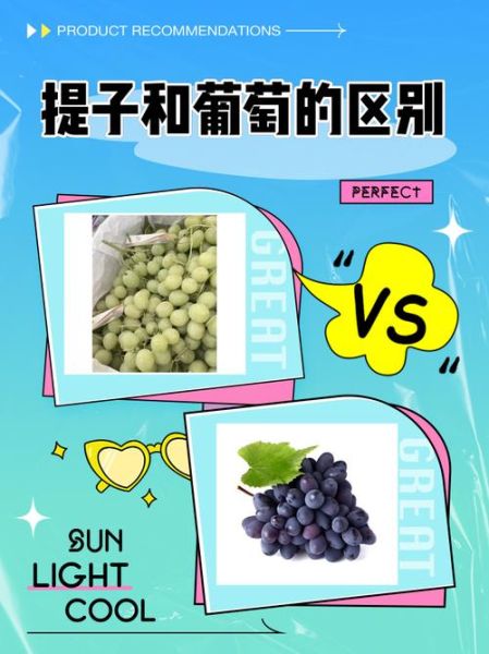 提子品种有哪些_提子和葡萄的区别-第1张图片-山城妙识 提子品种有哪些_提子和葡萄的区别-第1张图片-山城妙识