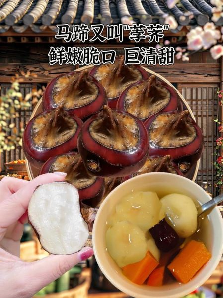 马蹄的功效与作用_马蹄怎么吃最润肺-第2张图片-山城妙识