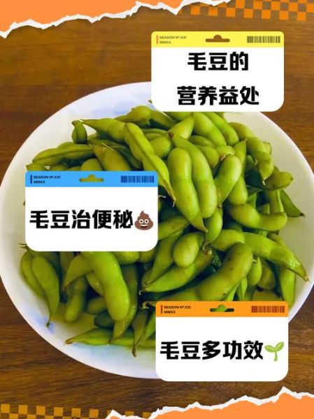 毛豆的做法功效与作用_毛豆的营养价值与禁忌-第2张图片-山城妙识