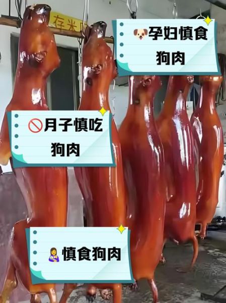 狗肉的营养价值及禁忌_什么人不能吃狗肉-第1张图片-山城妙识