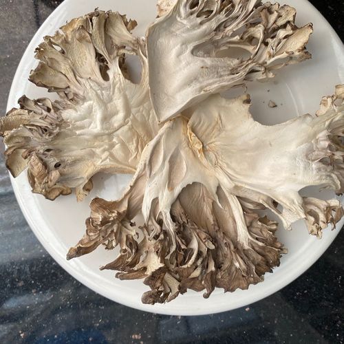 灰树花菇怎么做好吃_灰树花菇的家常做法-第1张图片-山城妙识