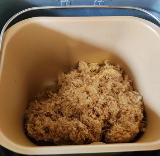 面包机果酱功能怎么做肉松_面包机果酱模式做肉松详细步骤-第1张图片-山城妙识 面包机果酱功能怎么做肉松_面包机果酱模式做肉松详细步骤-第1张图片-山城妙识