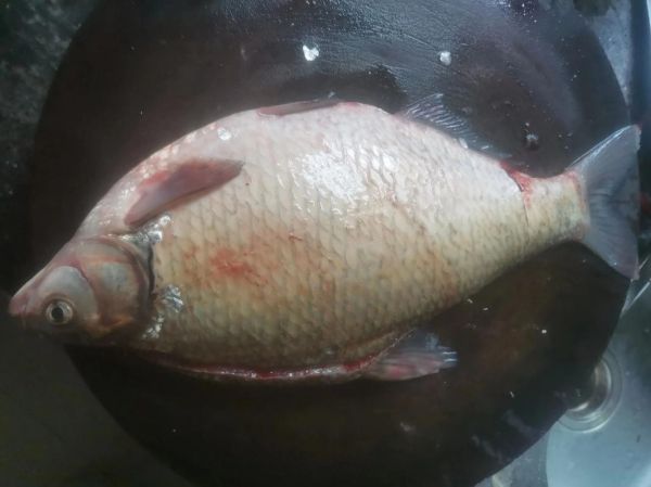 鳊鱼多少钱一斤_鳊鱼价格行情最新价-第3张图片-山城妙识