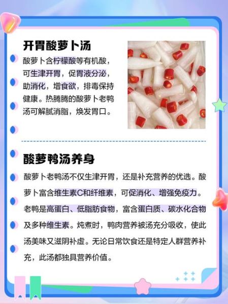 酸萝卜老鸭汤的功效与作用_适合什么人喝-第1张图片-山城妙识