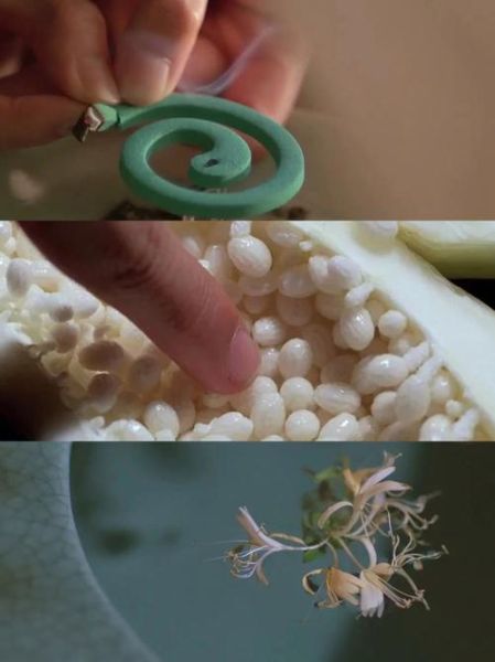 青木瓜之味讲了什么故事_越南电影青木瓜之味剧情解析-第2张图片-山城妙识