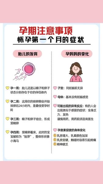 怀孕一个月要注意什么_怀孕初期症状有哪些-第2张图片-山城妙识 怀孕一个月要注意什么_怀孕初期症状有哪些-第2张图片-山城妙识