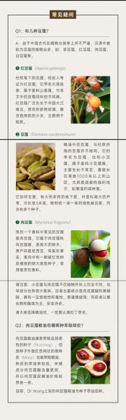 草蔻与肉蔻的区别_草蔻和肉蔻哪个更适合炖肉-第1张图片-山城妙识