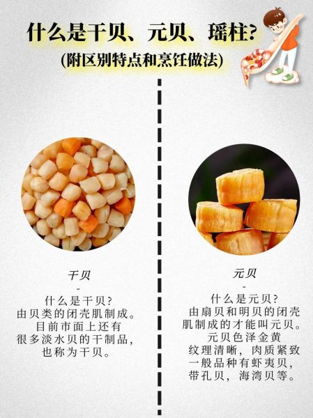 干贝是什么东西_干贝和瑶柱的区别-第1张图片-山城妙识