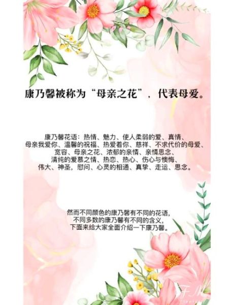 康乃馨的花语是什么_送几朵代表什么-第1张图片-山城妙识