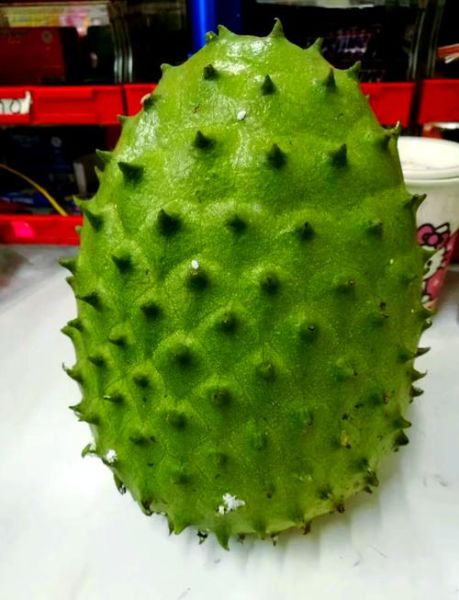 刺果番荔枝的功效与作用_刺果番荔枝怎么吃最好-第1张图片-山城妙识