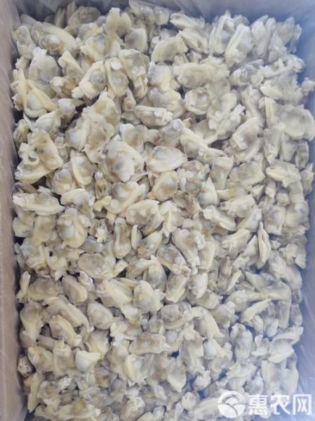 冻花甲肉怎么做好吃_冻花甲肉家常做法-第3张图片-山城妙识 冻花甲肉怎么做好吃_冻花甲肉家常做法-第3张图片-山城妙识