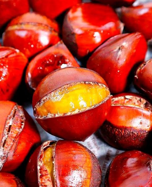 全国板栗排名_哪里板栗最好吃-第2张图片-山城妙识 全国板栗排名_哪里板栗最好吃-第2张图片-山城妙识